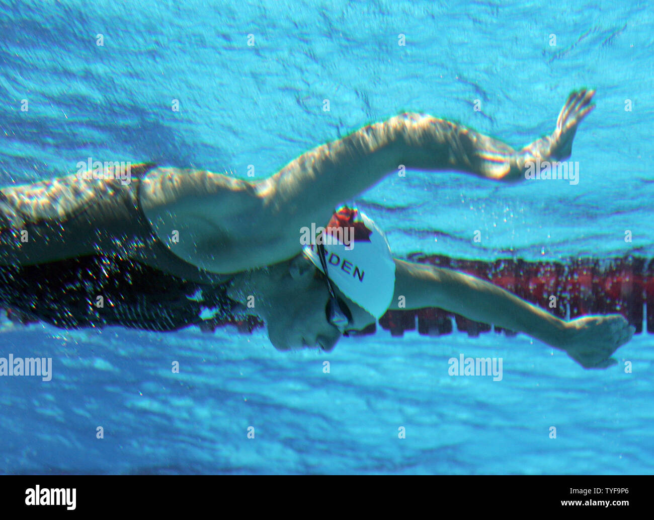 Elizabeth warden hi-res stock photography and images - Alamy