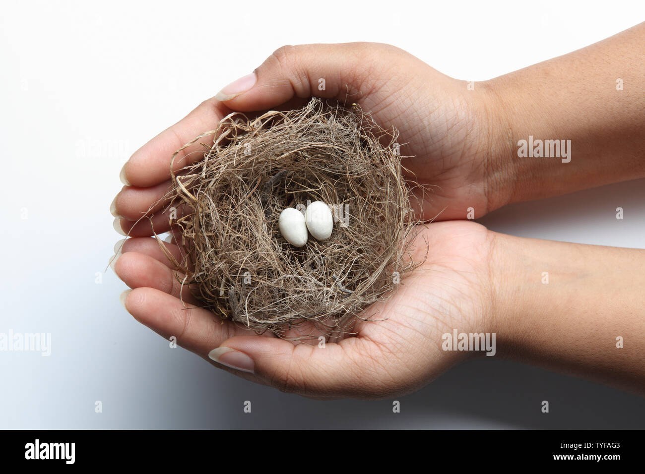 Hand containing an egg hi-res stock photography and images - Alamy