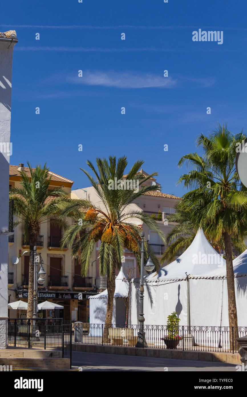 Spanish date palm tree hi-res stock photography and images - Alamy