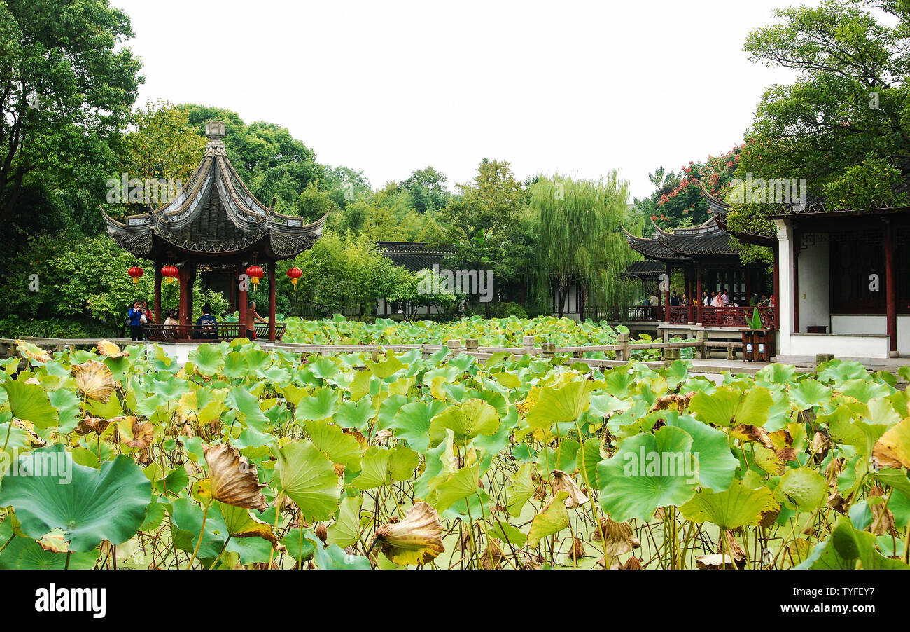 Ho and Ting Stock Photo - Alamy