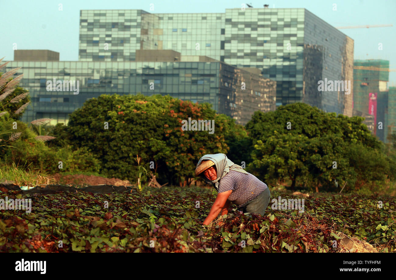 Nansha farm hi-res stock photography and images - Alamy