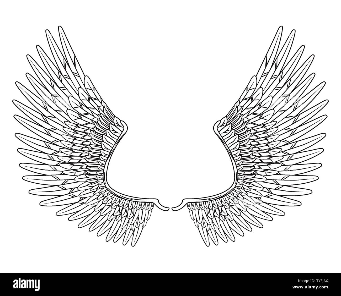 wings drawn in black and white Stock Vector Image & Art - Alamy