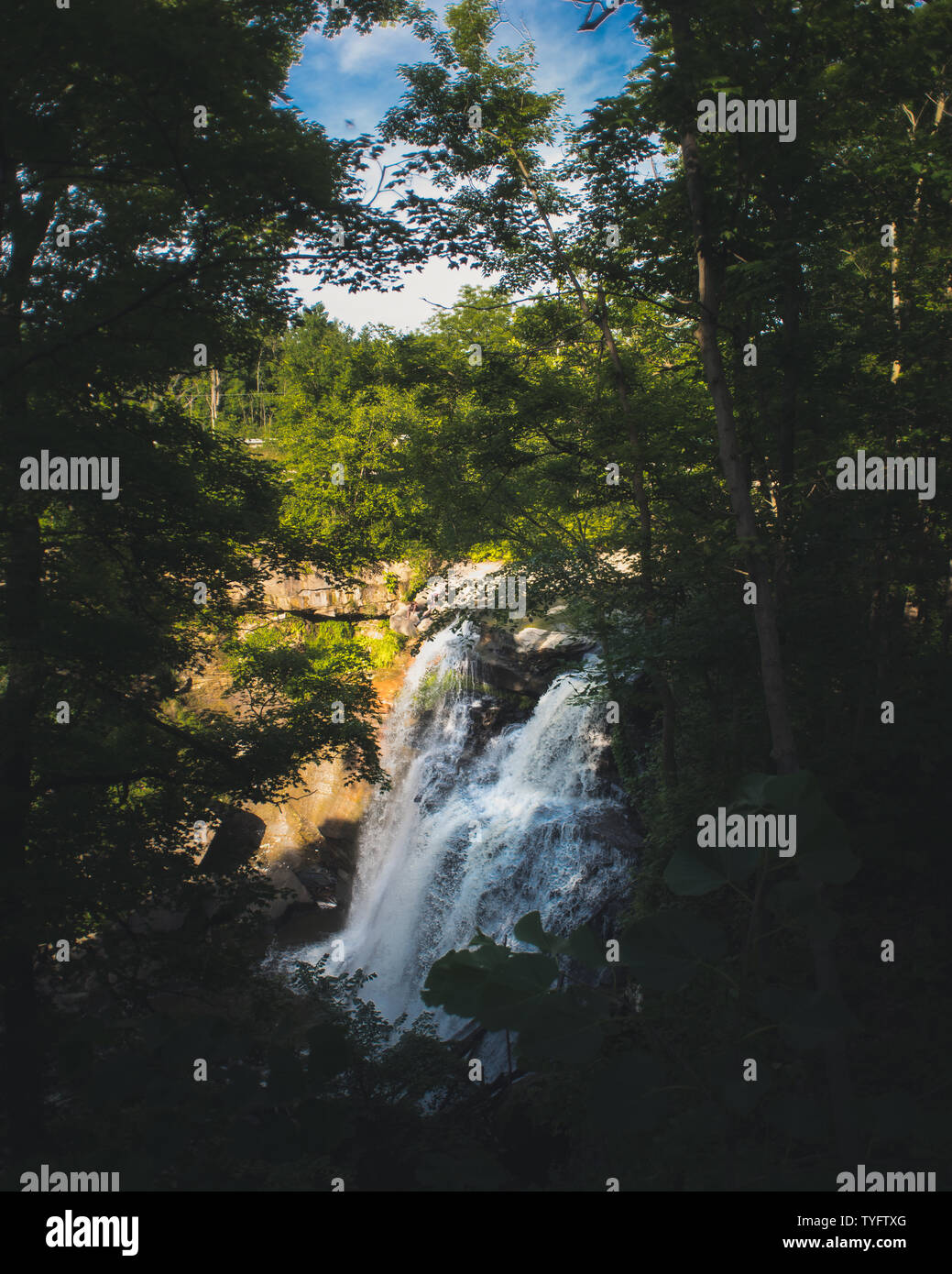 Waterfall in the Woods Stock Photo - Alamy