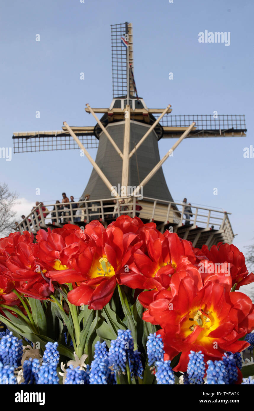 Netherlands windmill 1700s hi-res stock photography and images - Alamy