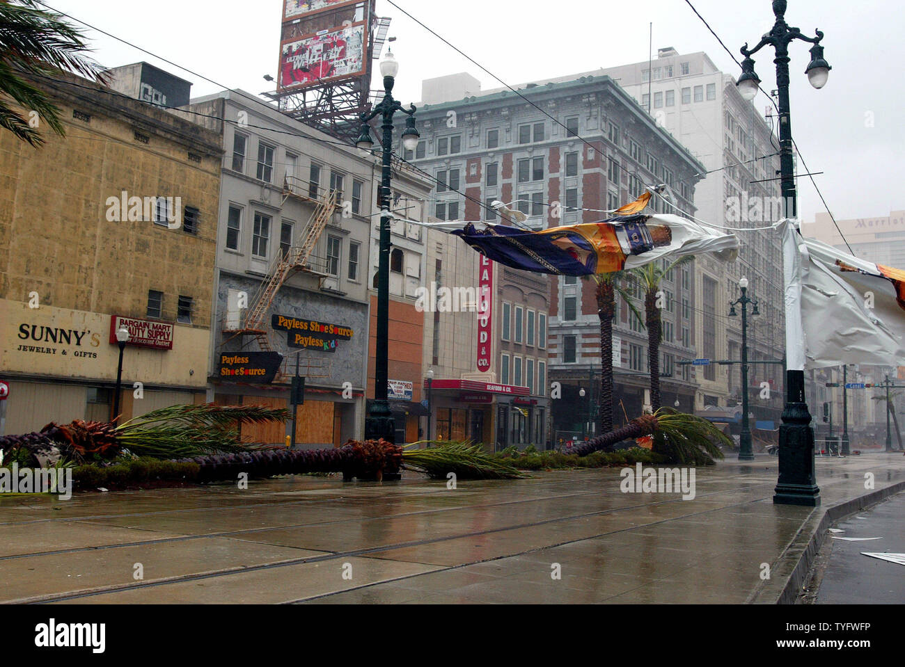 Palm trees lie toppled on Canal Street in New Orleans as Hurricane ...