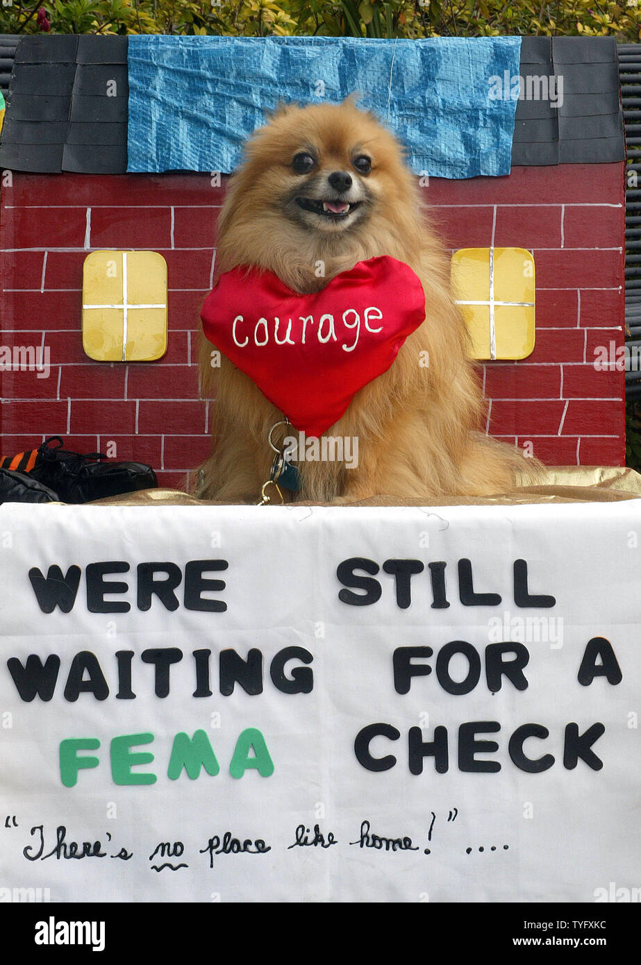 Courage the cowardly dog hi-res stock photography and images - Alamy