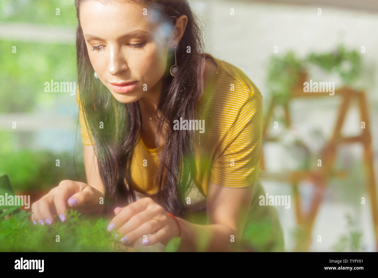 Young woman taking care houseplants hi-res stock photography and images ...