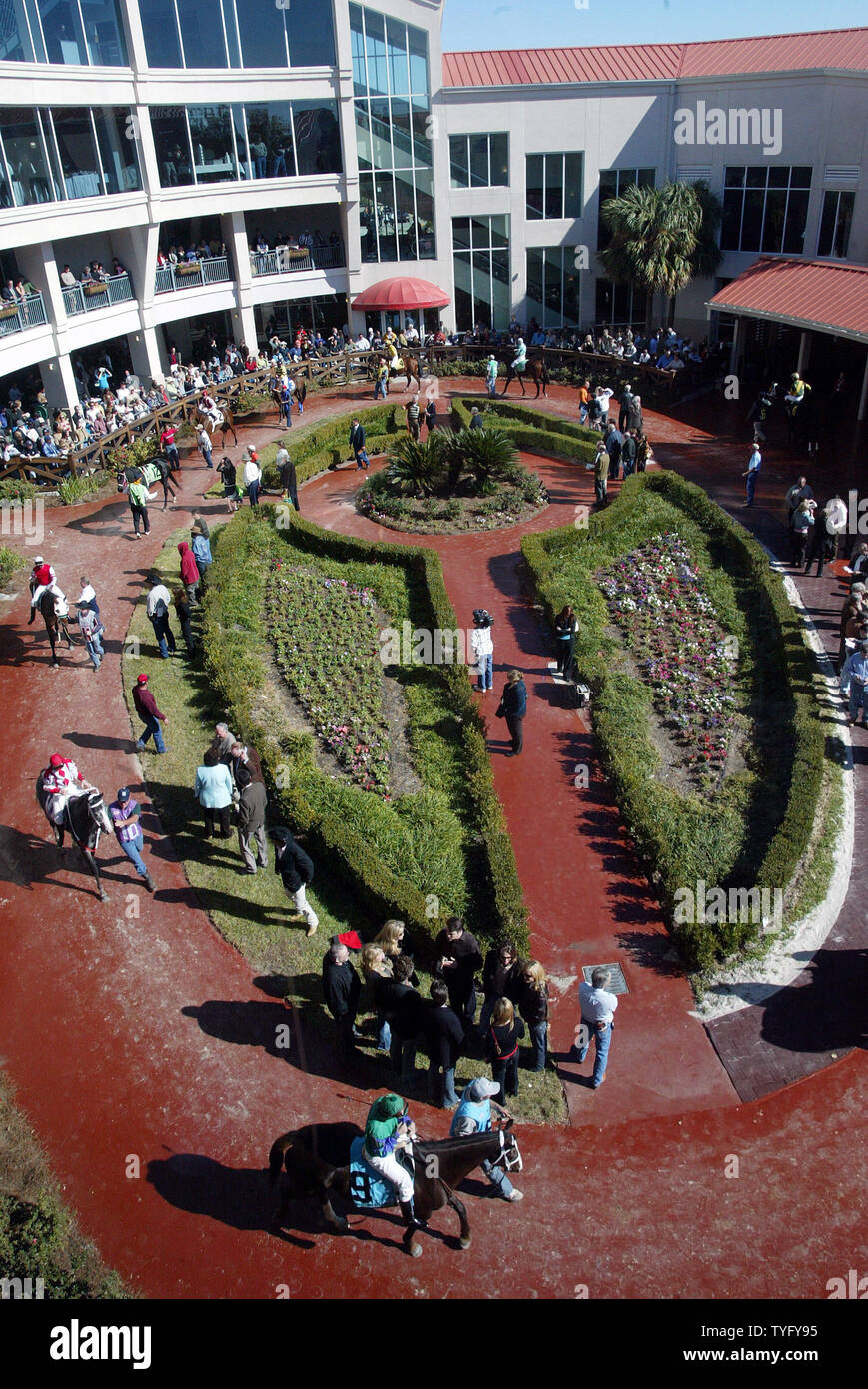 Thoroughbred racehorses are walked around a circle in the paddock at ...