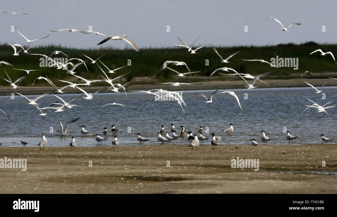 Elmers island hi-res stock photography and images - Alamy
