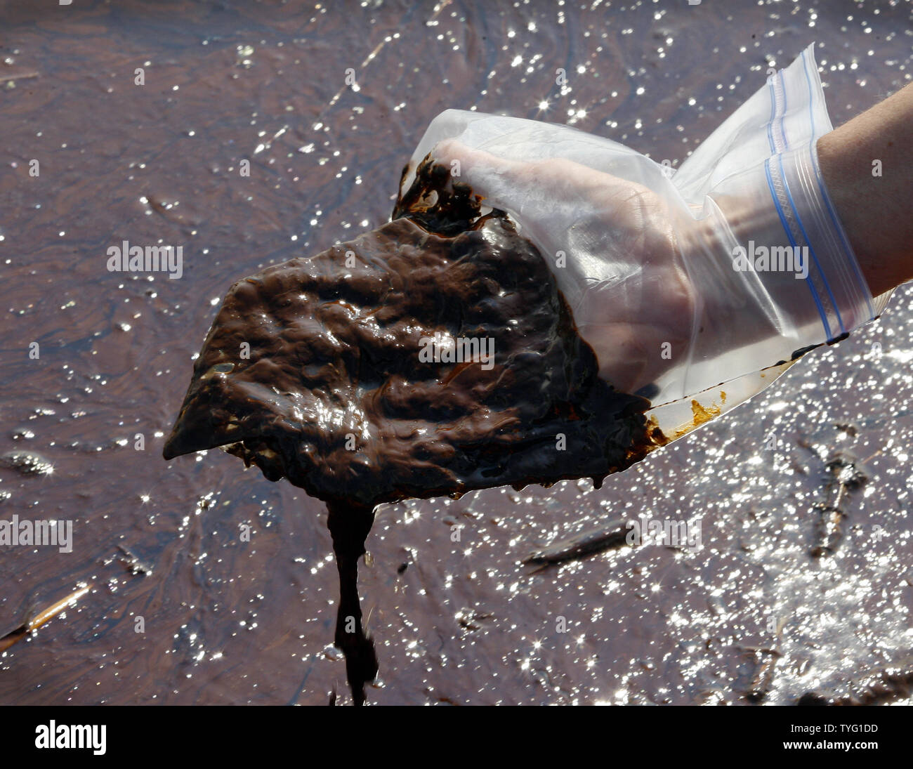 A volunteer scoops up crude oil from the surface of the water in Pass a ...