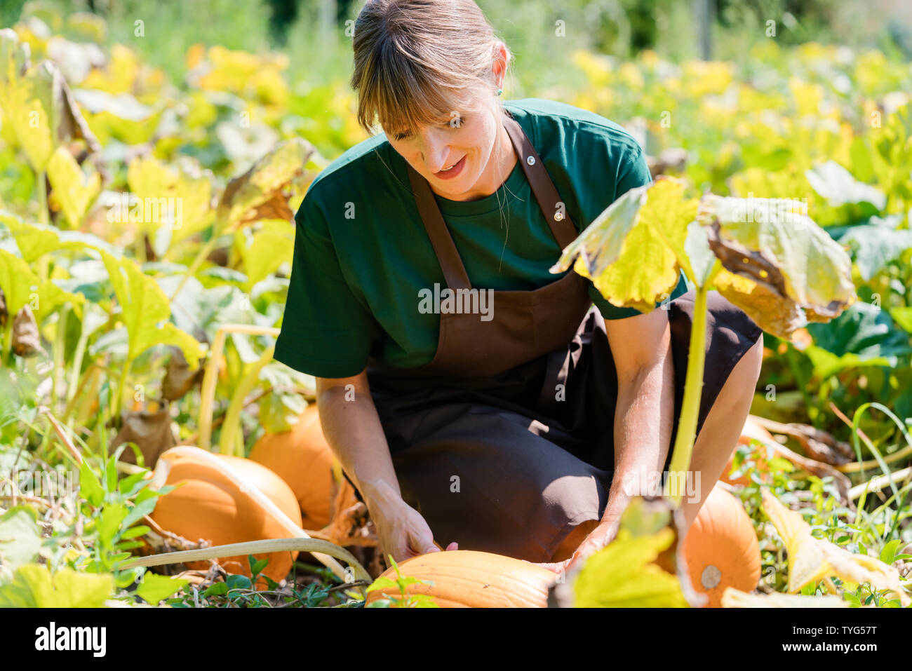 People growing vegetables hi-res stock photography and images - Alamy