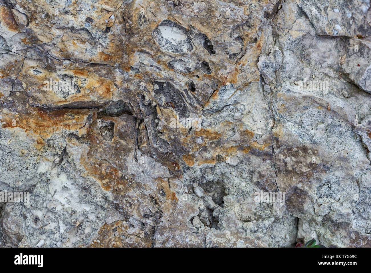 Natural stone texture background. Limestone. Rock formation Stock Photo ...