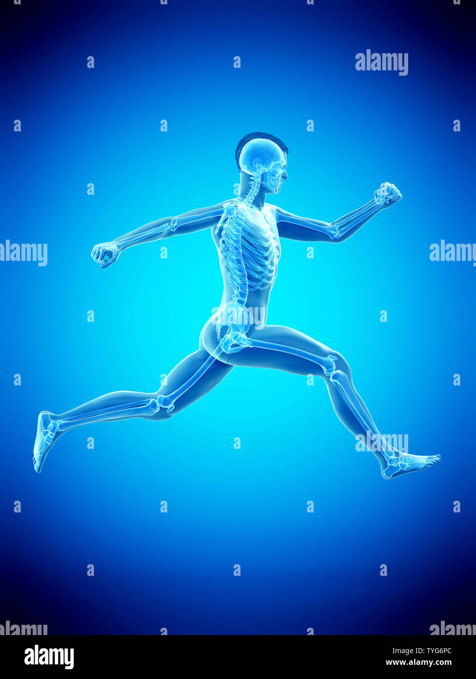 Running man anatomy medical illustration hi-res stock photography and ...