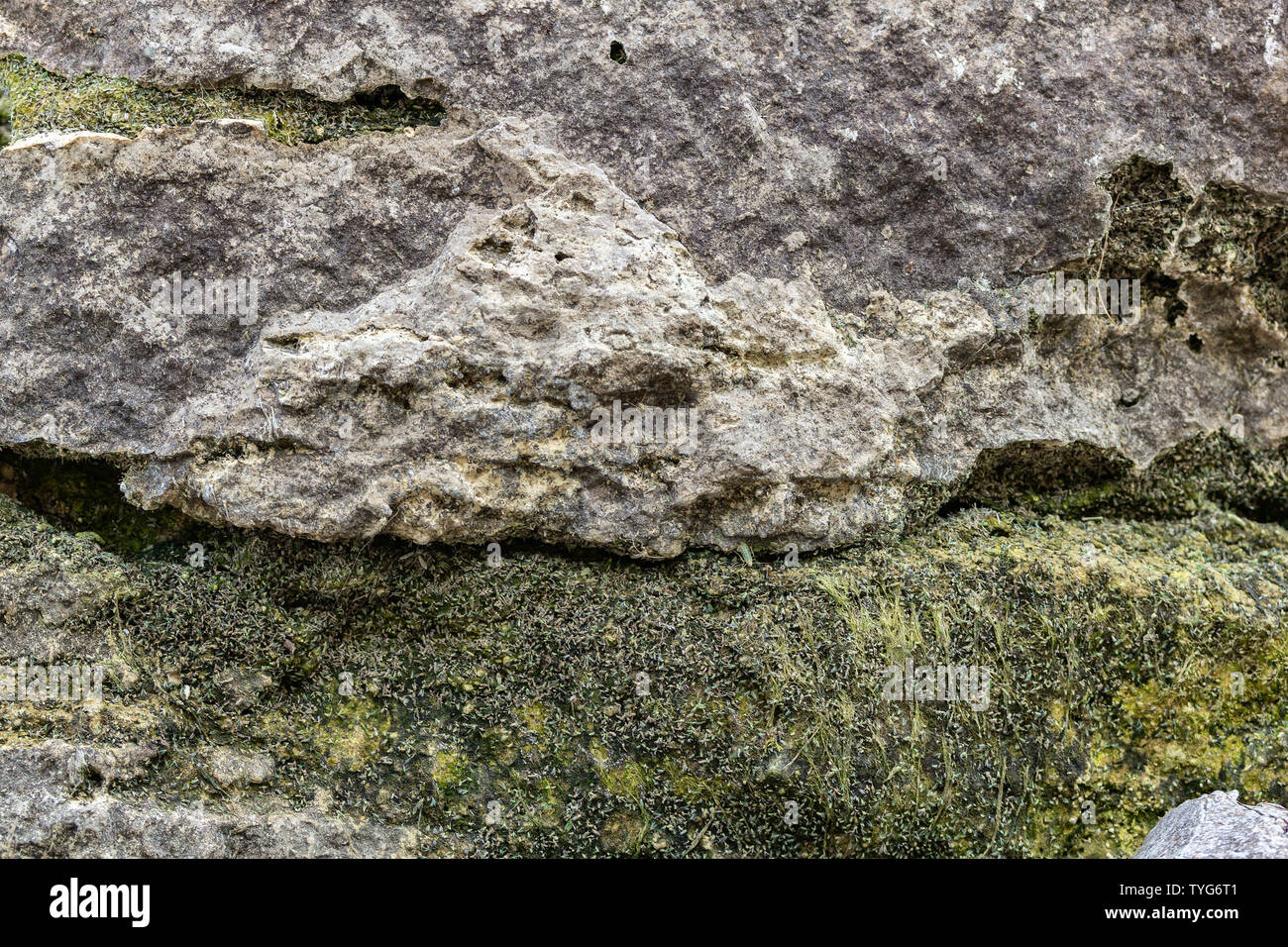 Natural stone texture background. Limestone. Rock formation Stock Photo ...