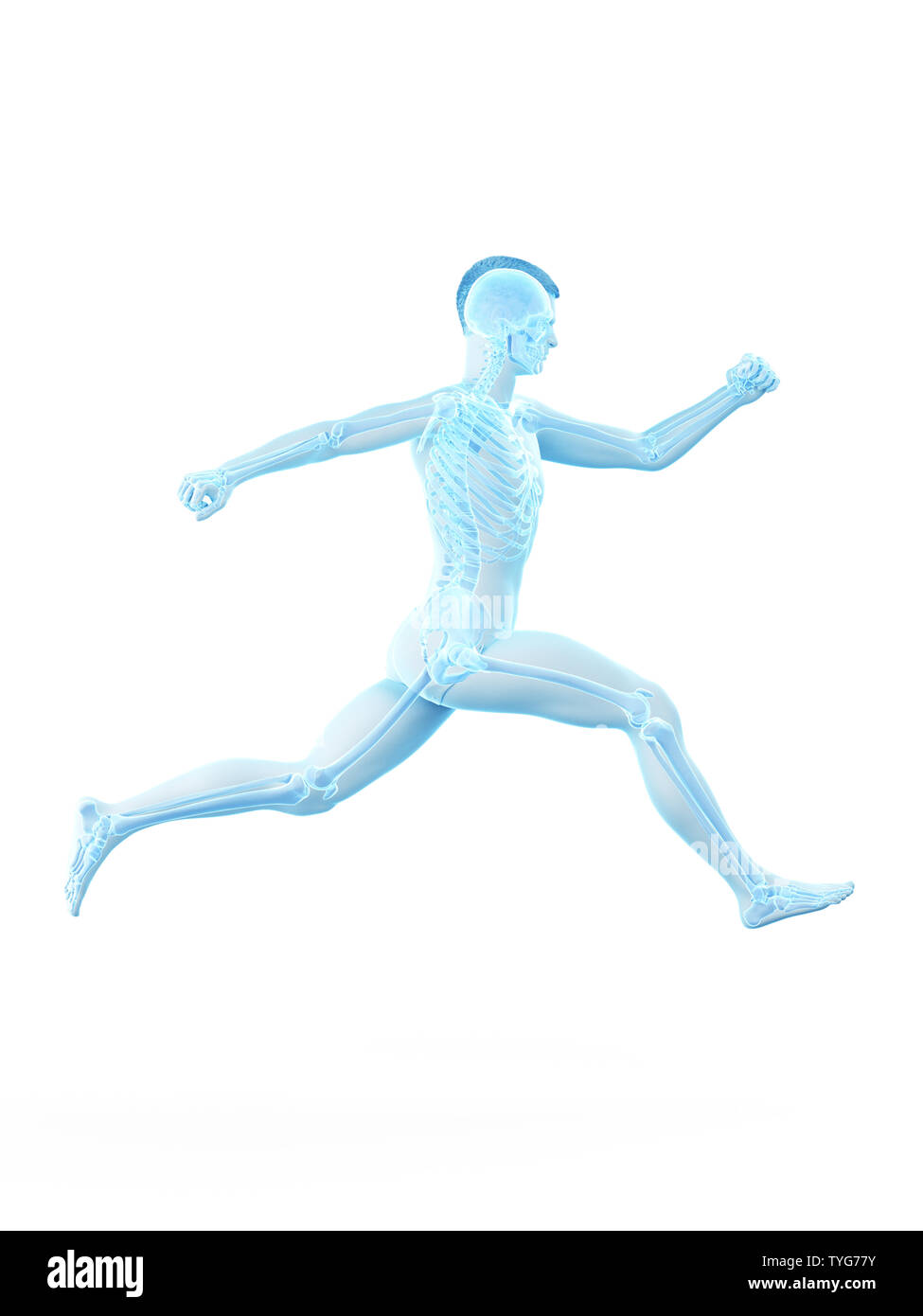 Running man anatomy medical illustration hi-res stock photography and ...