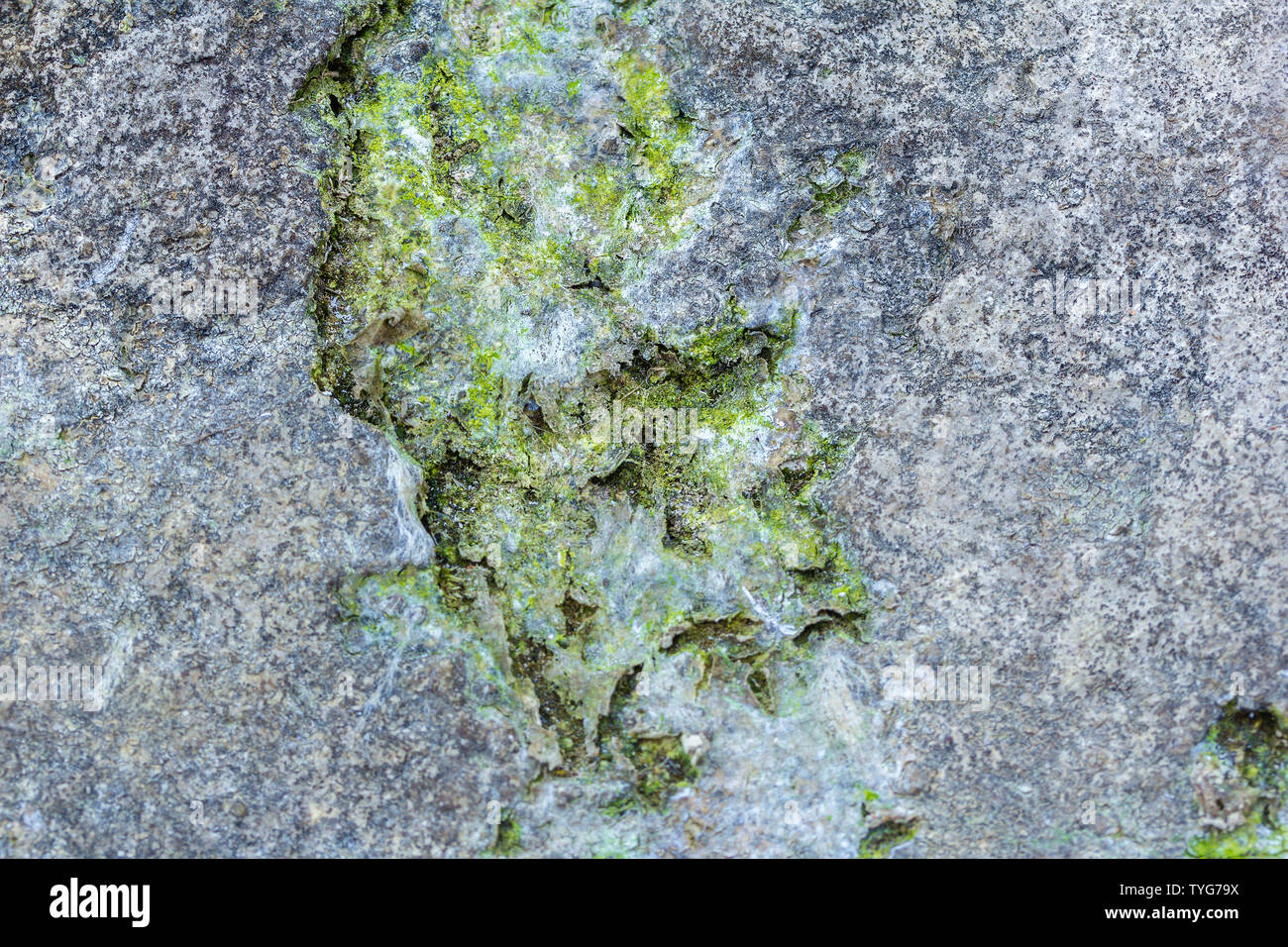 Natural stone texture background. Limestone. Rock formation Stock Photo ...