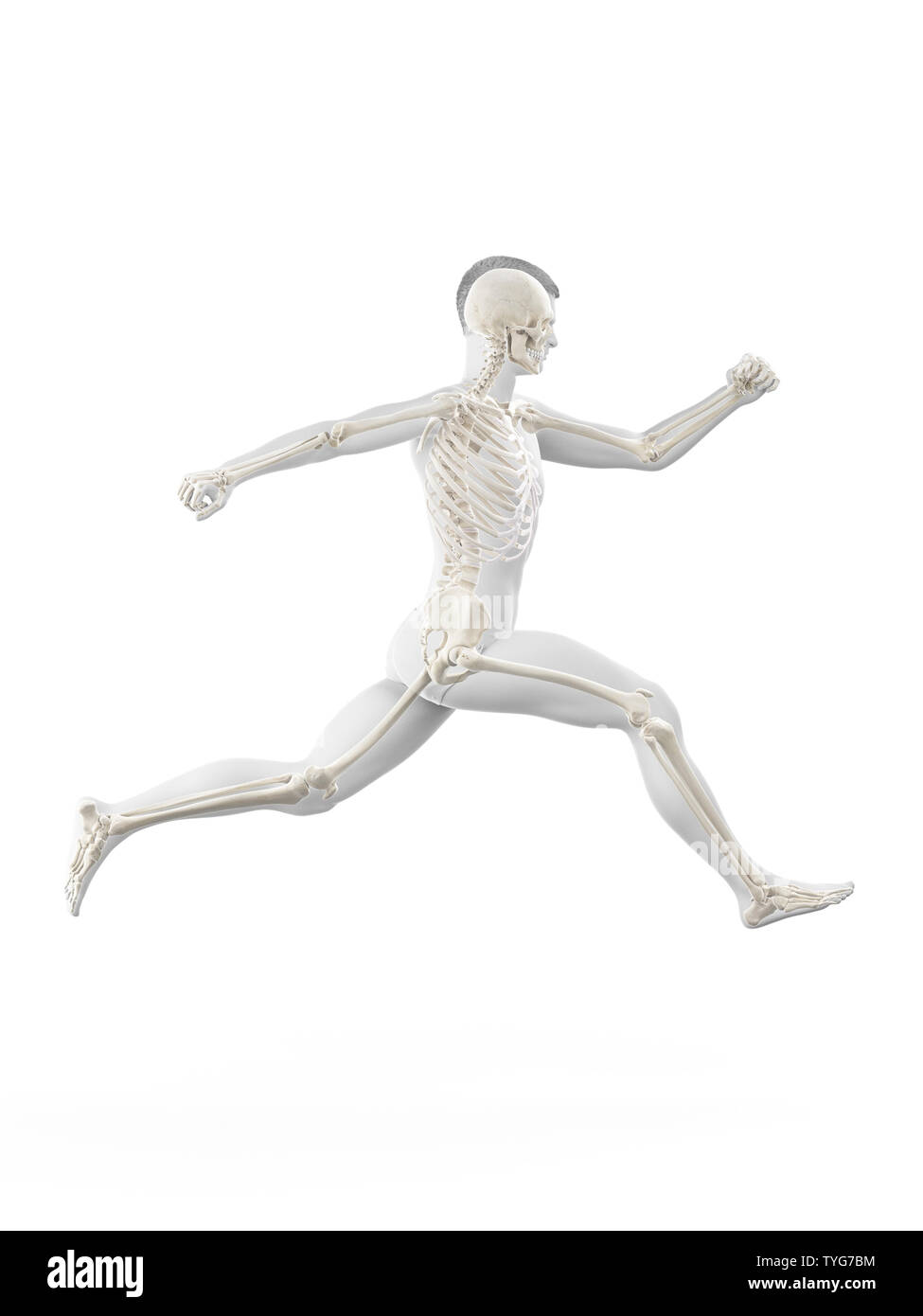 3d rendered medically accurate illustration of a man running Stock ...