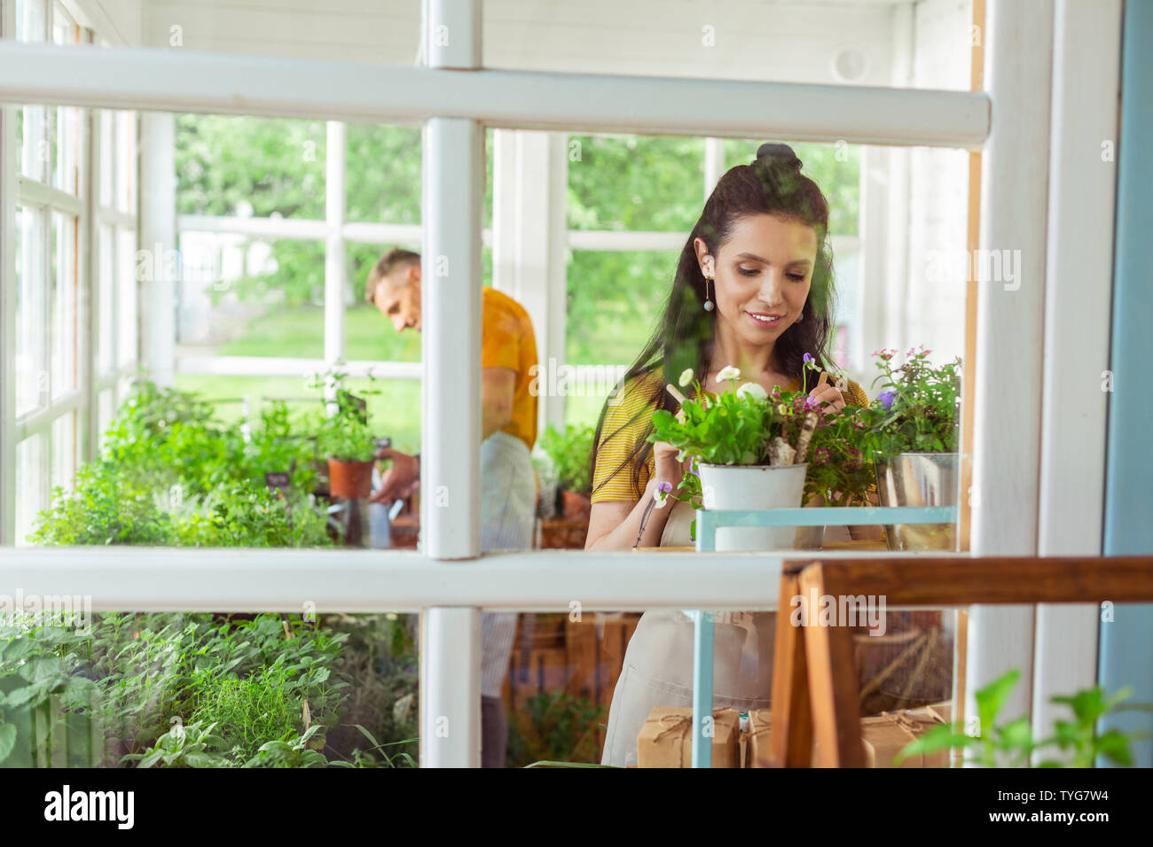 Apron windows hi-res stock photography and images - Alamy