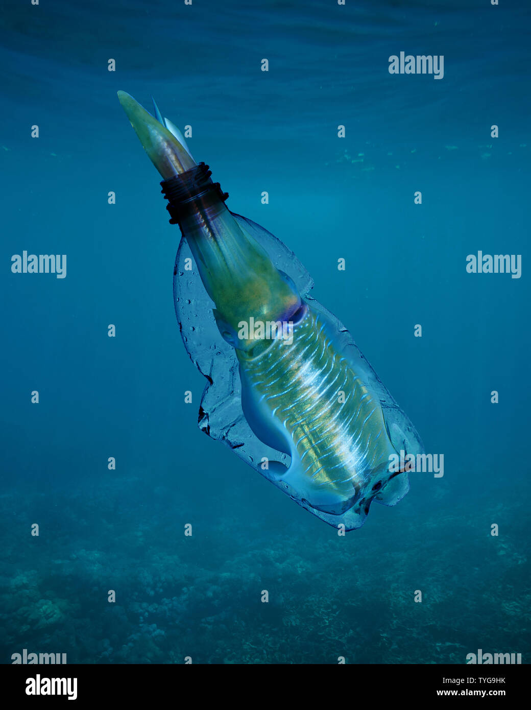 Anti-plastic pollution imagery Stock Photo - Alamy