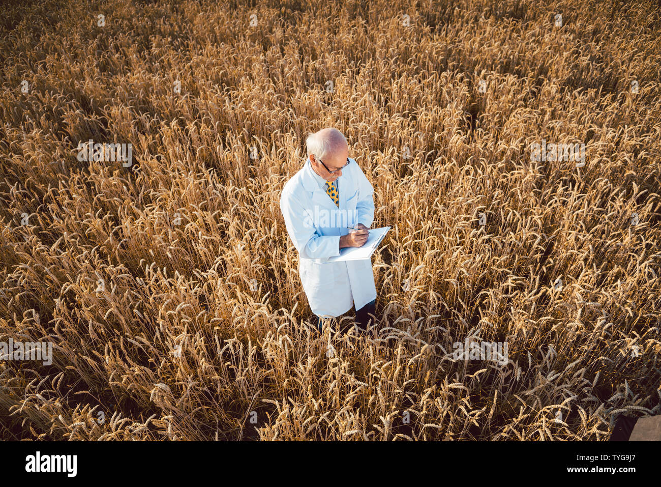 Researcher field crop hi-res stock photography and images - Alamy