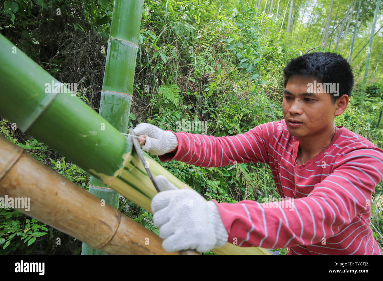 Tantou town hi-res stock photography and images - Alamy