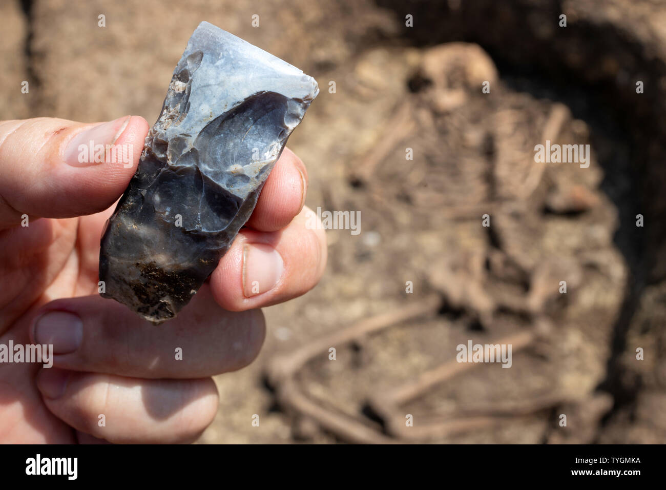 Neolithic period axe hi-res stock photography and images - Alamy