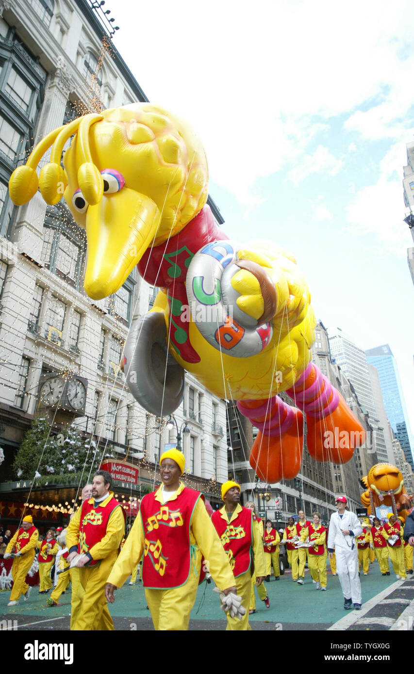 The Baby Big bird Balloon floats down to Herrald Square in the Macy's ...