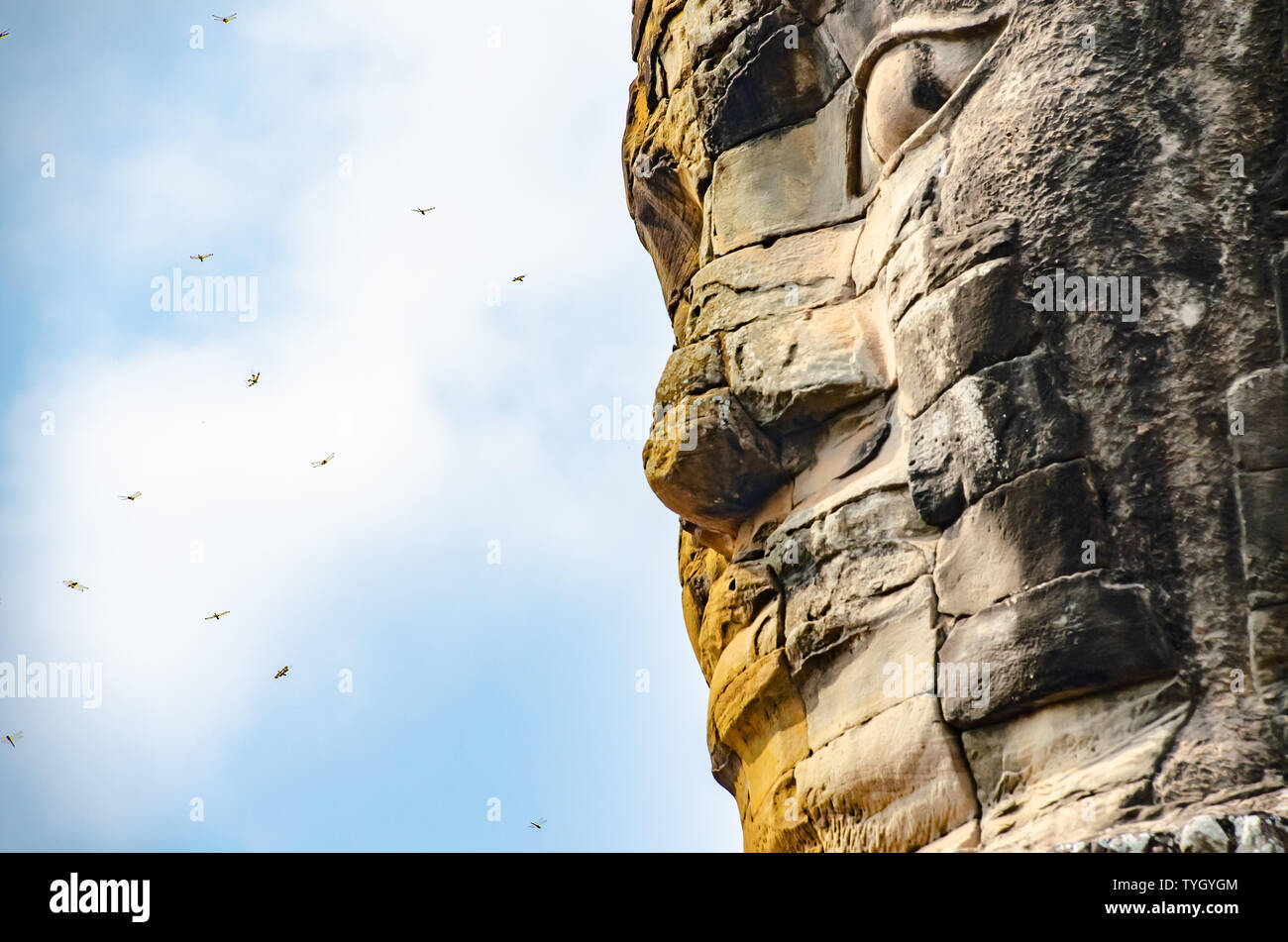 Mesmerise hi-res stock photography and images - Alamy