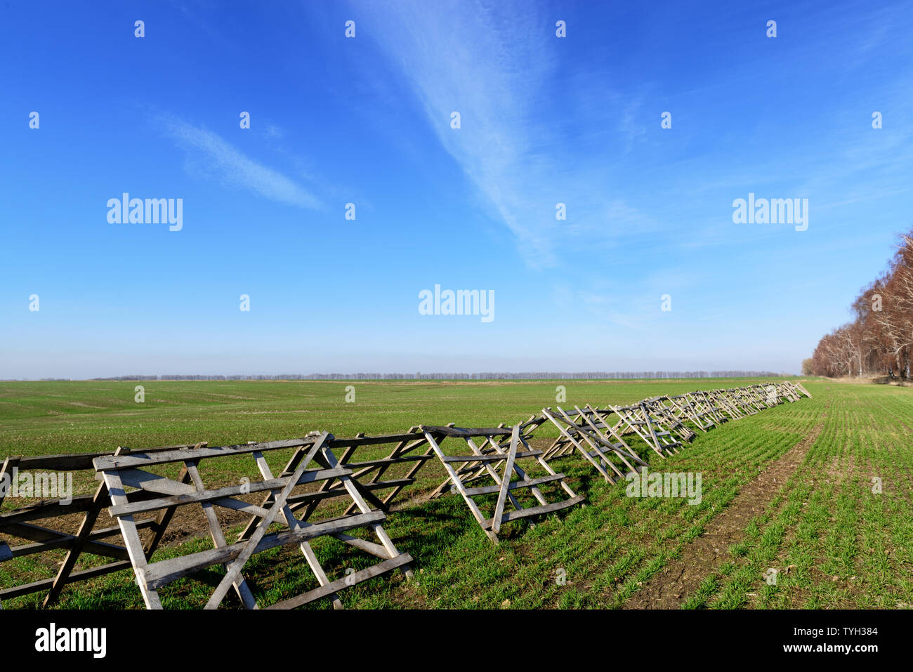 Beautiful landscape green field hi-res stock photography and images - Alamy