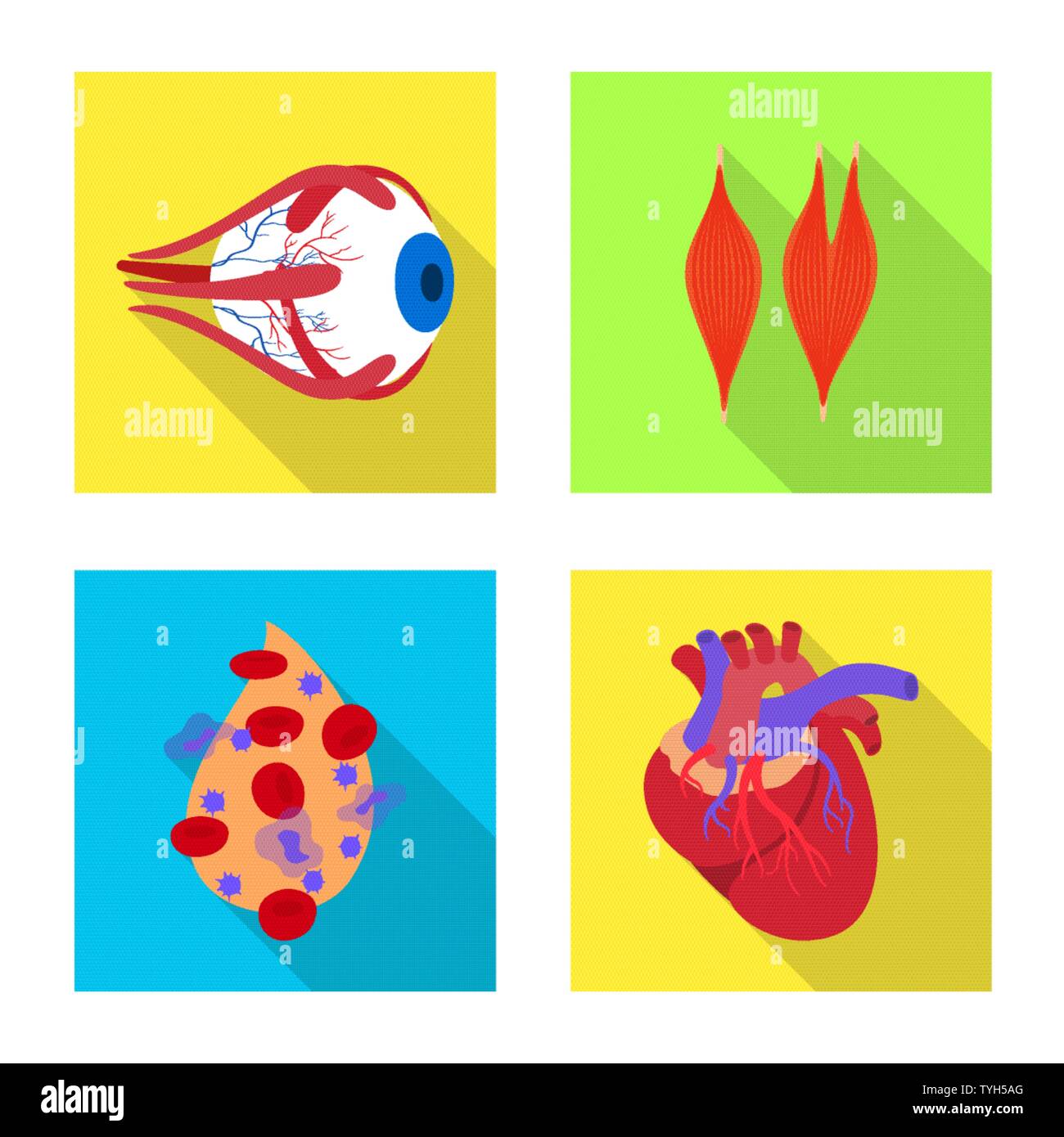 Vector Vectors Stock Vector Image & Art - Alamy