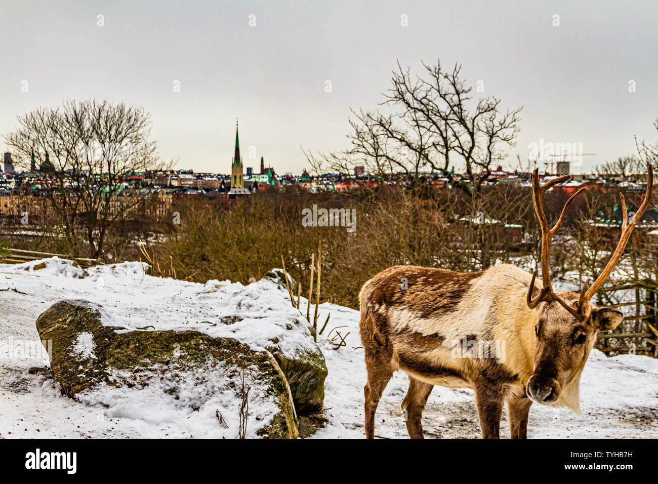 Scandinavian city winter hi-res stock photography and images - Alamy