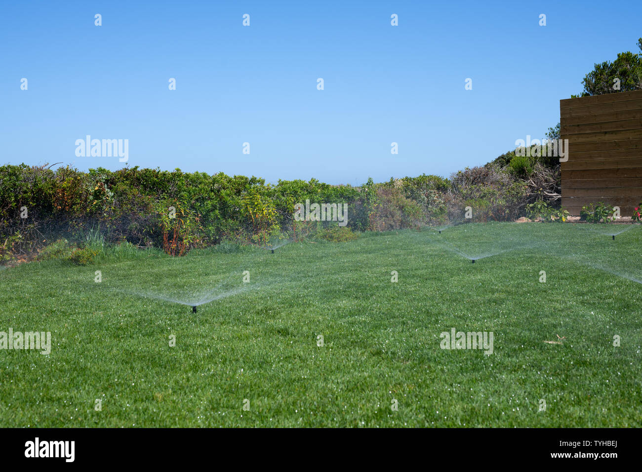 Water sprinklers turned on hi-res stock photography and images - Alamy