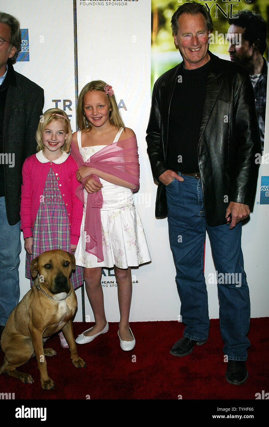 Fonz dog hi-res stock photography and images - Alamy