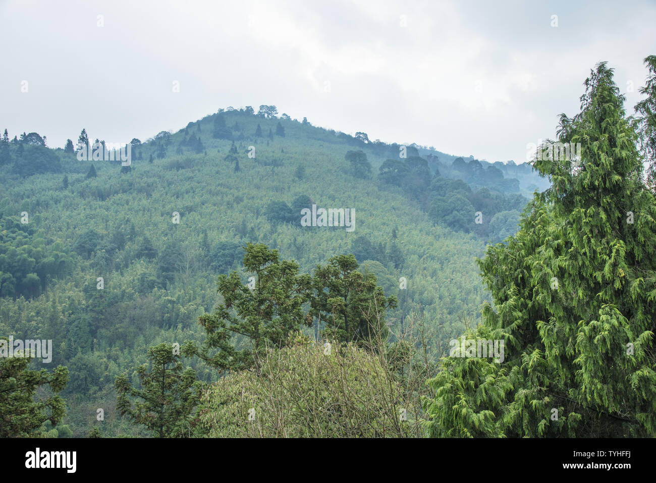 Dazhu hi-res stock photography and images - Alamy