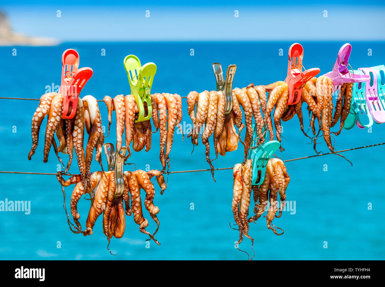 Drying the octopus in the sun in the seaside village of Plaka on the ...