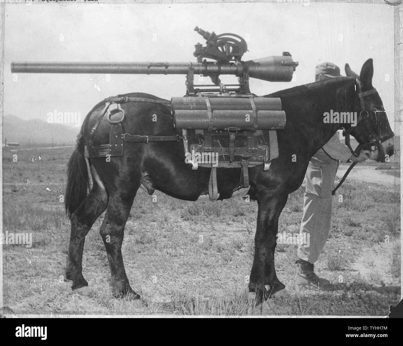 Recoilless Rifle mounted on a mule Stock Photo - Alamy