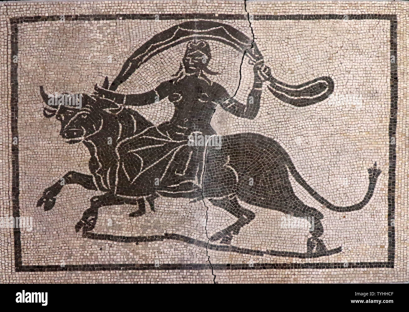 Colourful visions of ancient Rome. Polychrome Roman Mosaics from ...