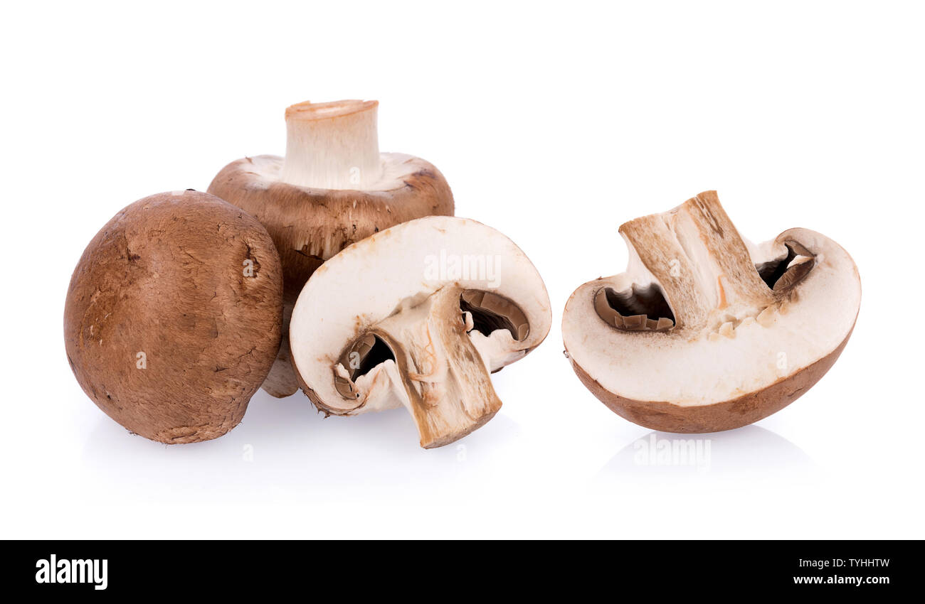 Mushroom champignon isolated on white background Stock Photo - Alamy