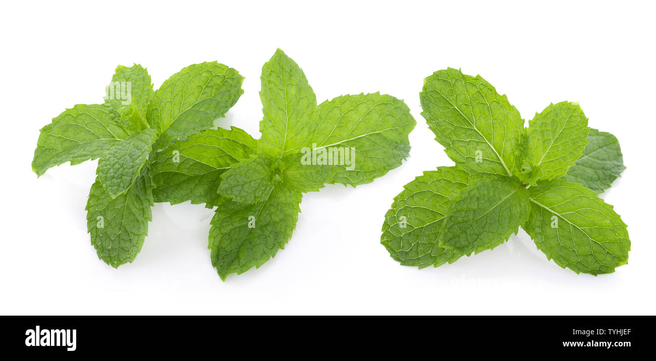 Peppermint on white background Stock Photo - Alamy