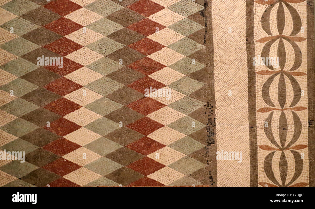 Colourful visions of ancient Rome. Polychrome Roman Mosaics from ...