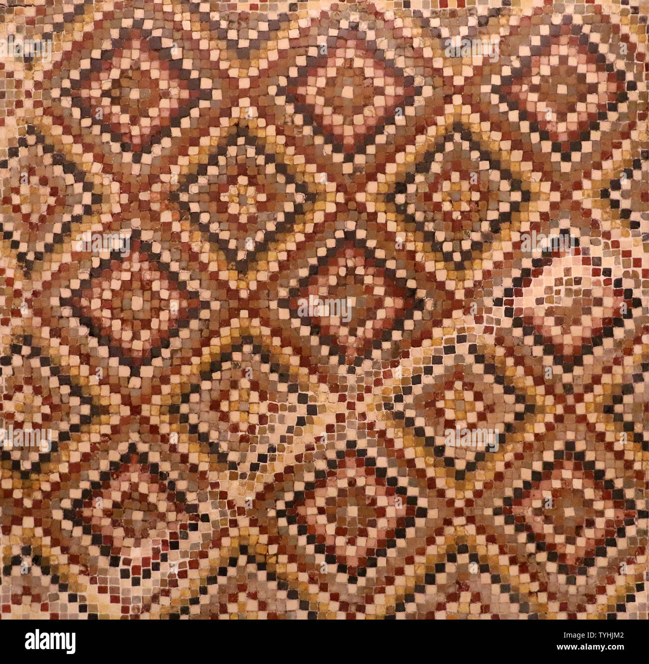 Colourful visions of ancient Rome. Polychrome Roman Mosaics from ...