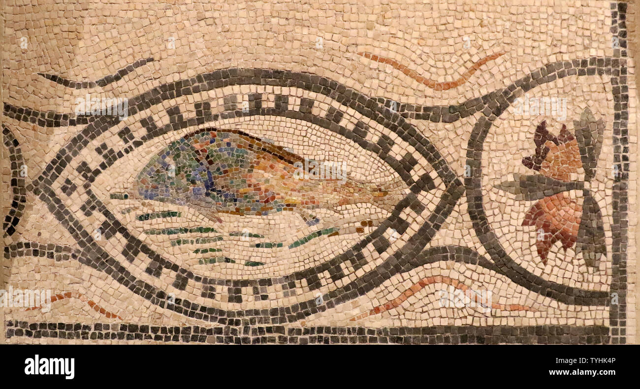 Colourful visions of ancient Rome. Polychrome Roman Mosaics from ...