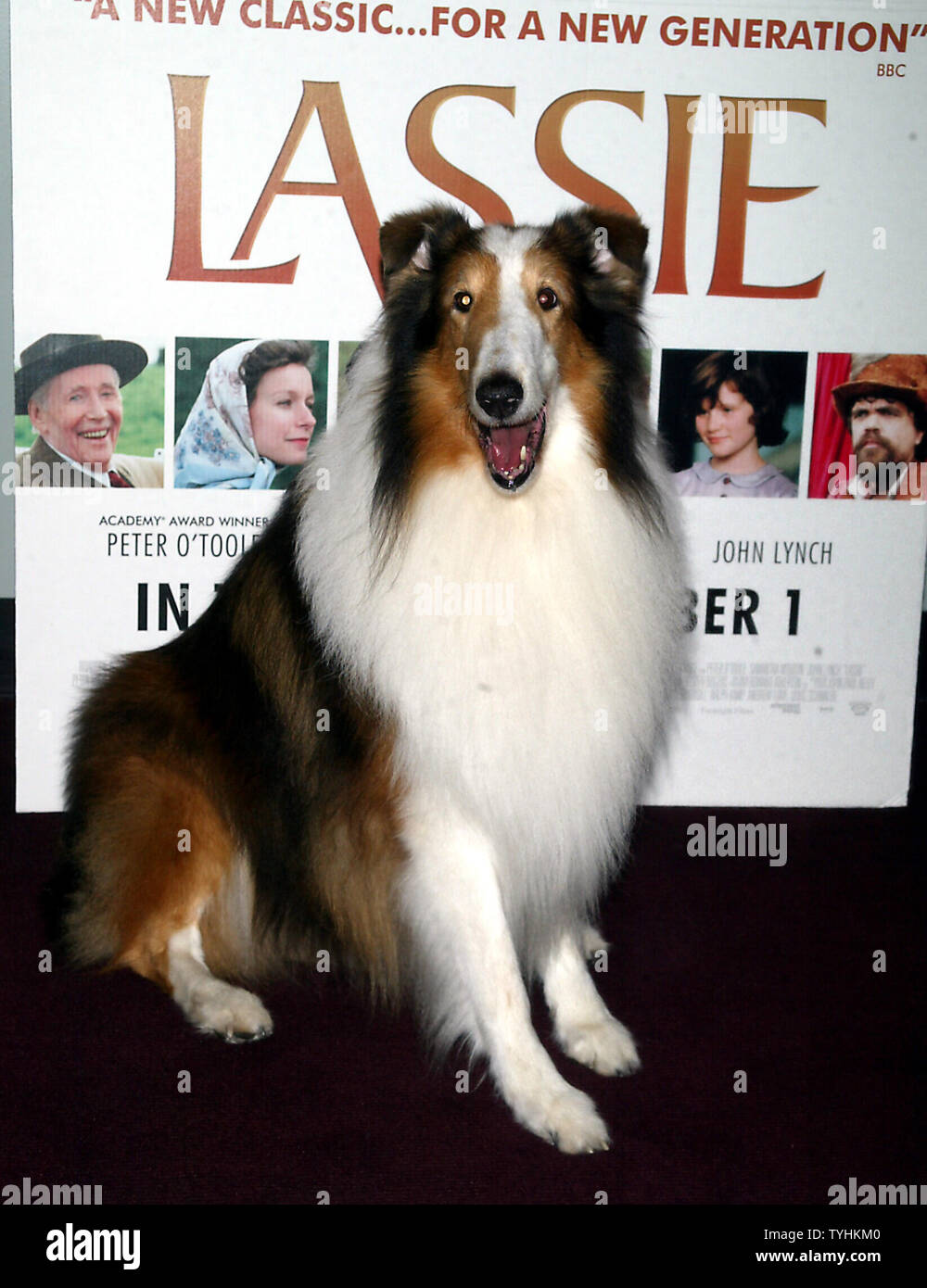 Lassie arrives for the premiere of his new movie "Lassie" at the French ...