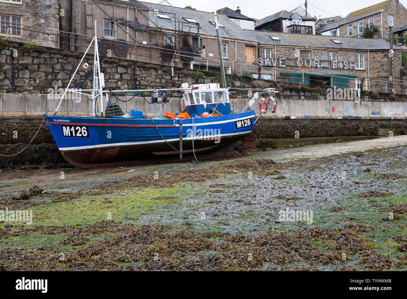 Save our fish sign on a quayside Cornwall, uk Stock Photo - Alamy