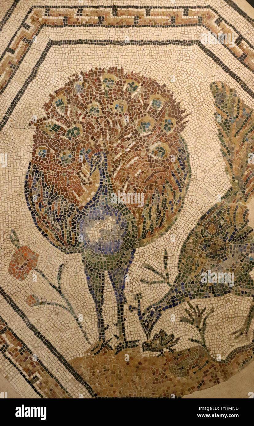 Colourful visions of ancient Rome. Polychrome Roman Mosaics from ...