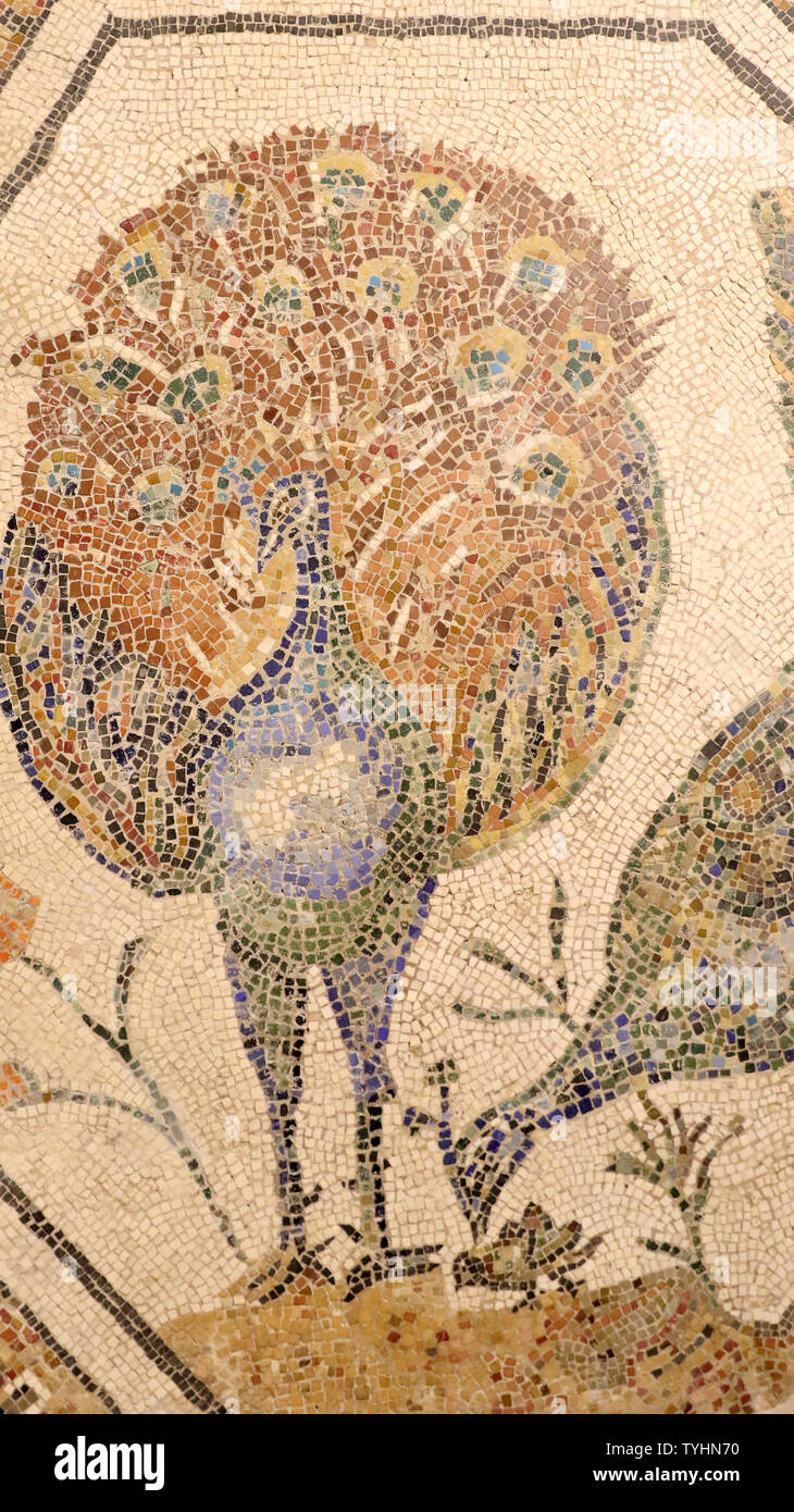 Colourful visions of ancient Rome. Polychrome Roman Mosaics from ...