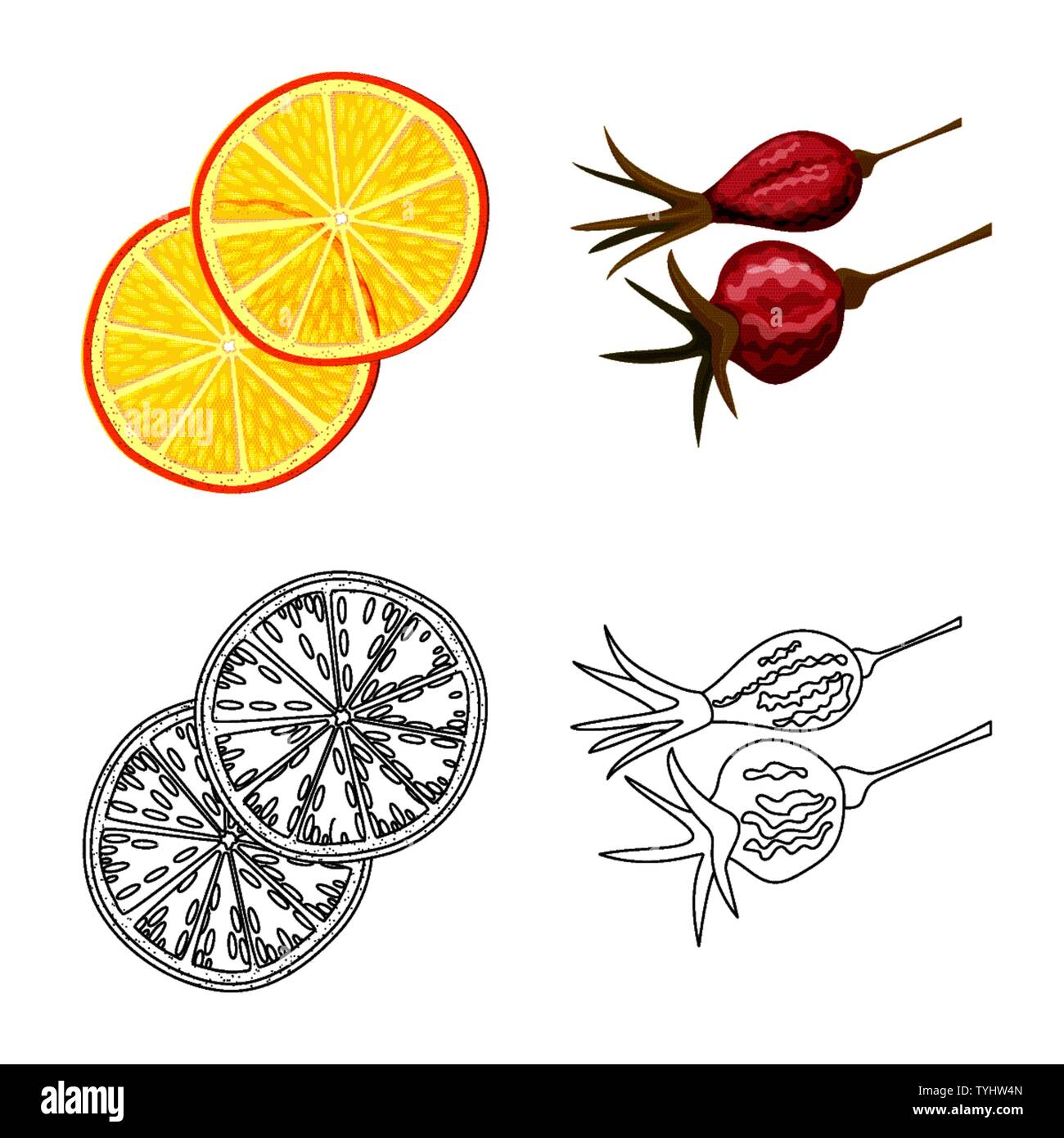 Vector design of food and raw sign. Set of food and nature vector icon ...