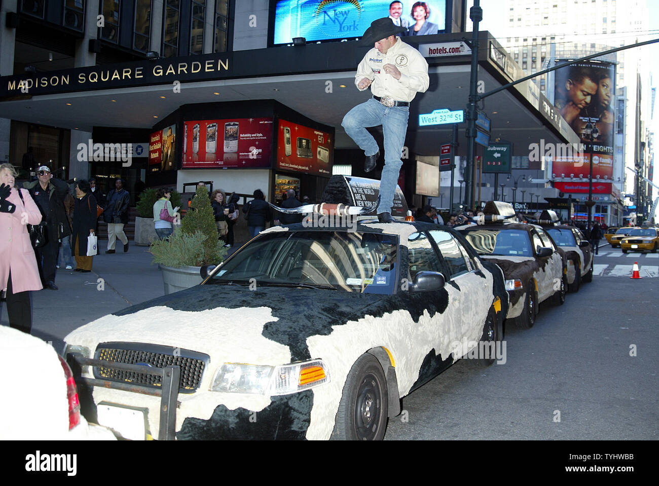 Fake bulls hi-res stock photography and images - Alamy