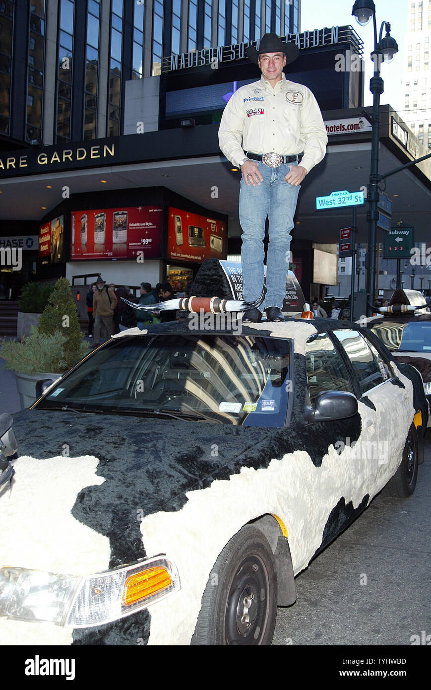 Fake bulls hi-res stock photography and images - Alamy