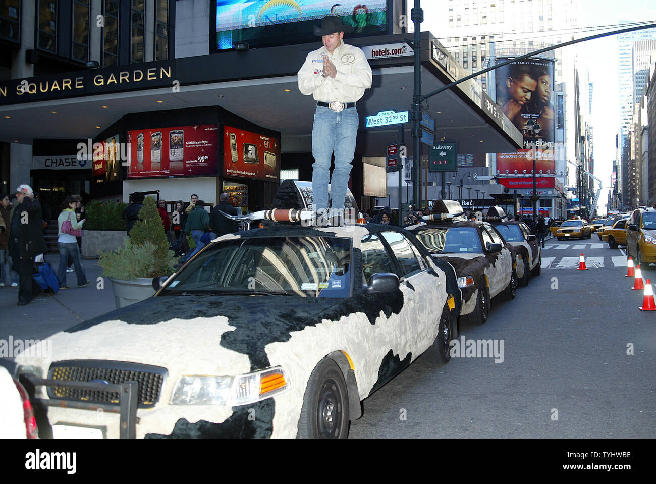 Fake bulls hi-res stock photography and images - Alamy